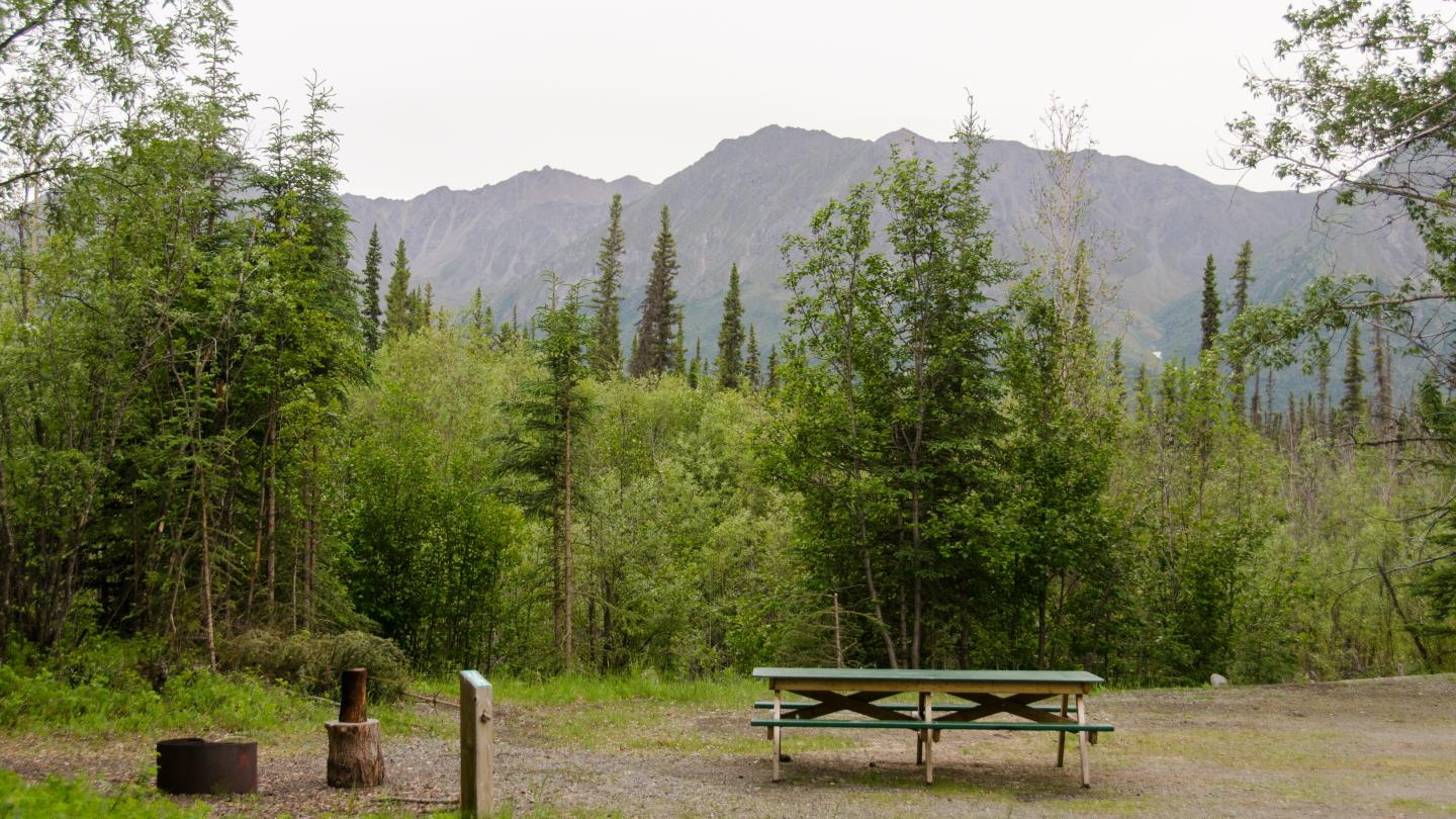 Lake Creek Campground | Travel Yukon - Yukon, Canada | Official Tourism ...