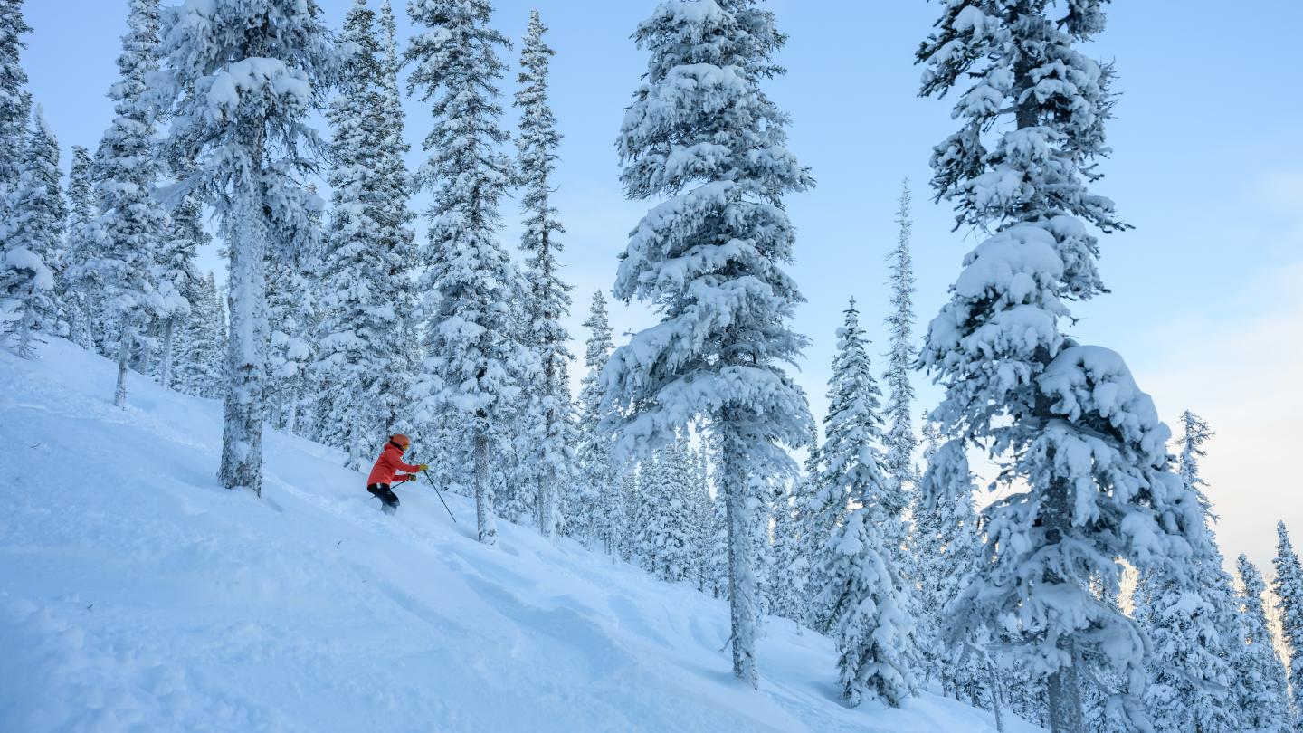 New Glamping Experience at Mount Sima Alpine Escape | Travel Yukon ...