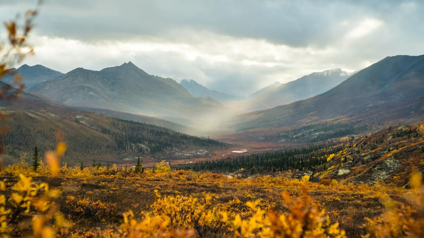 Whatever you’re into, it’s in season | Travel Yukon - Yukon, Canada ...