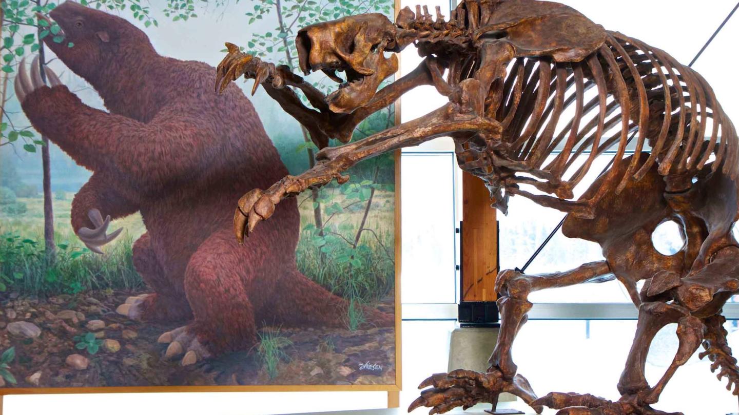 Yukon Beringia Interpretive Centre | Travel Yukon - Yukon, Canada ...