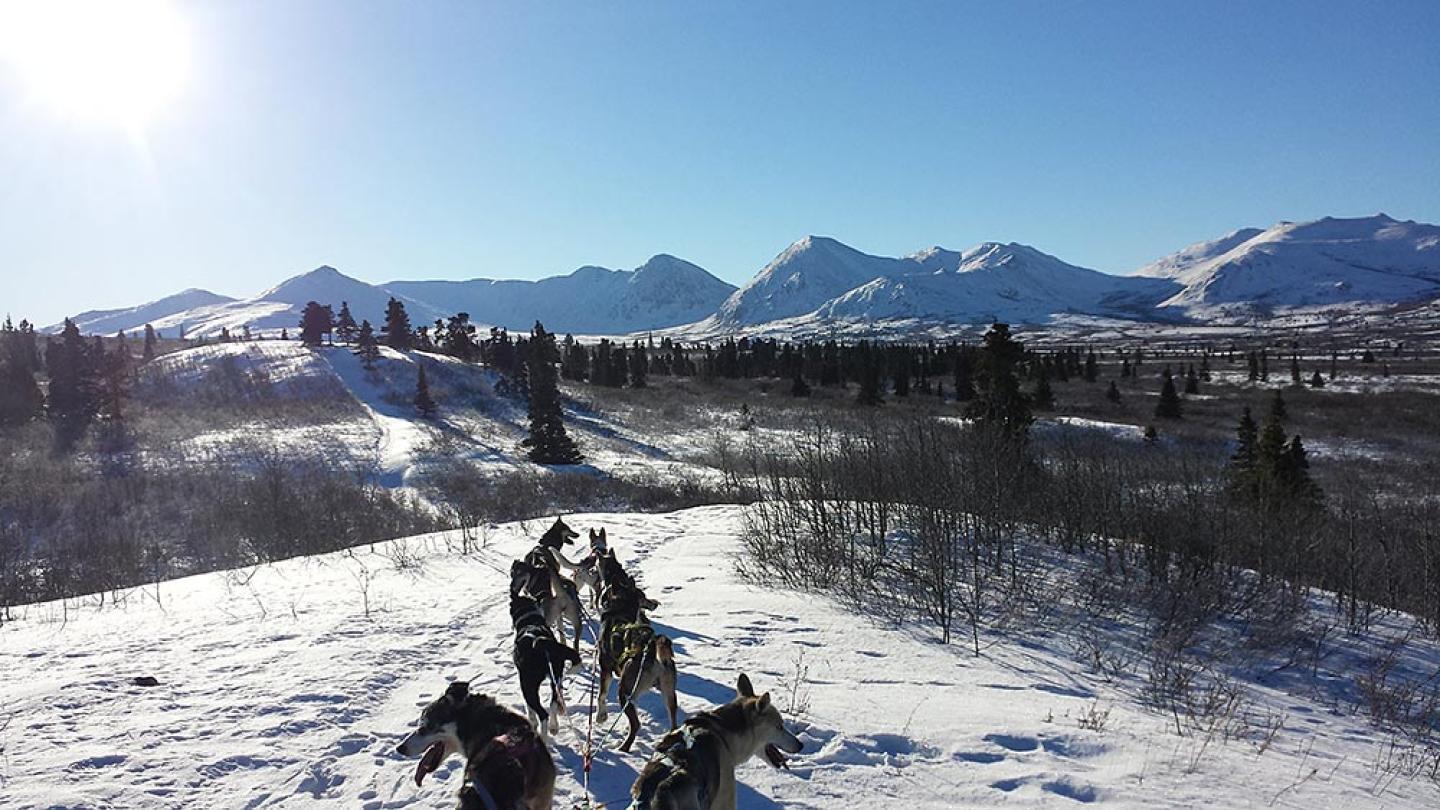 Beyond Expeditions | Travel Yukon - Yukon, Canada | Official Tourism ...