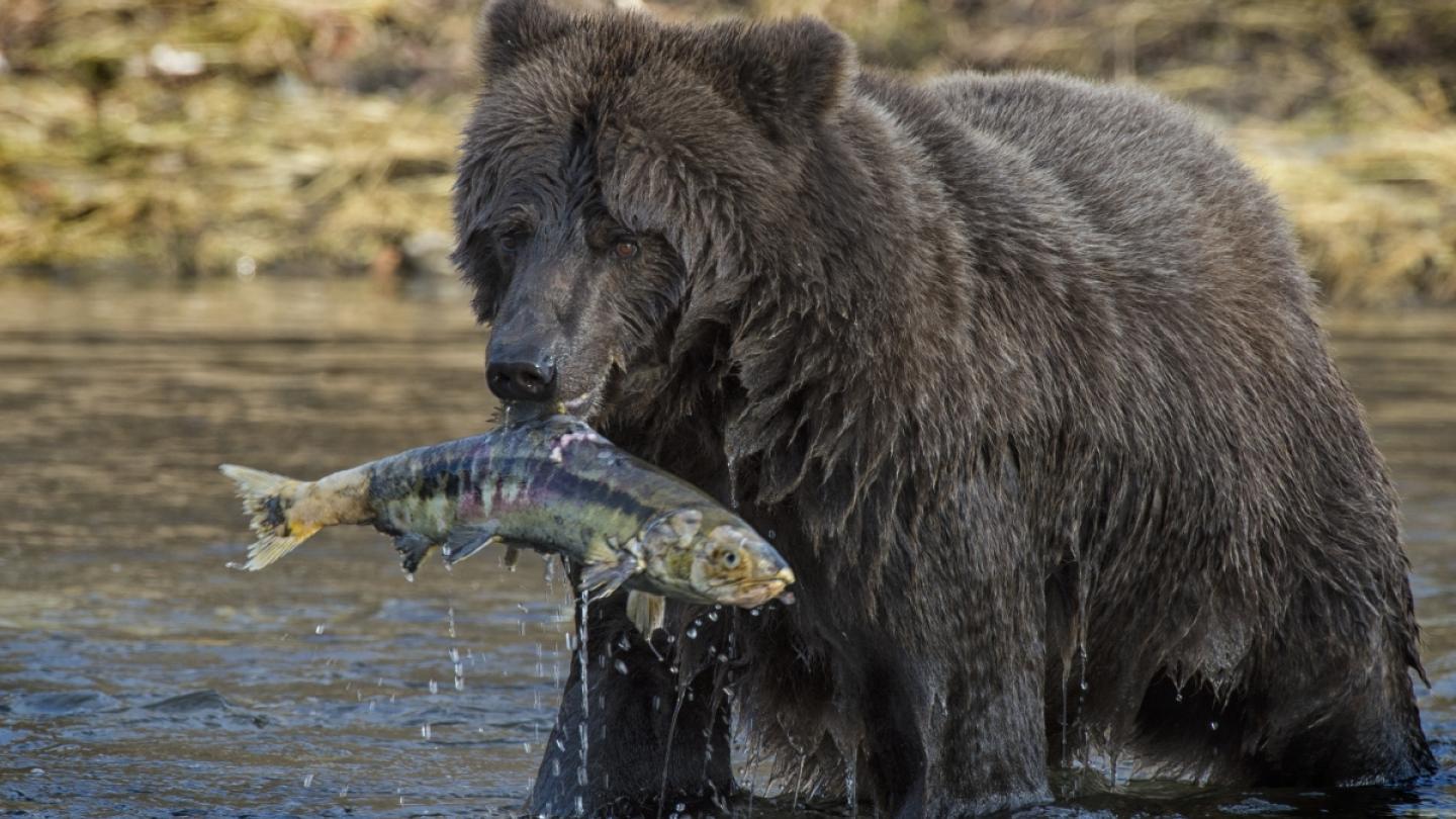 Ni'iinlii Njik (Fishing Branch) Territorial Park | Travel Yukon - Yukon ...