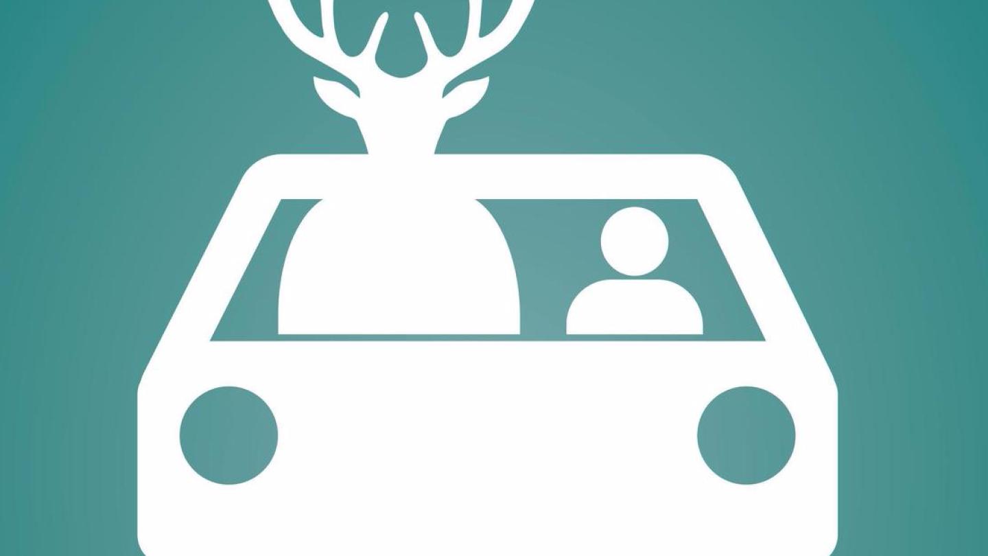 Yukon Rideshare | Travel Yukon - Yukon, Canada | Official Tourism ...