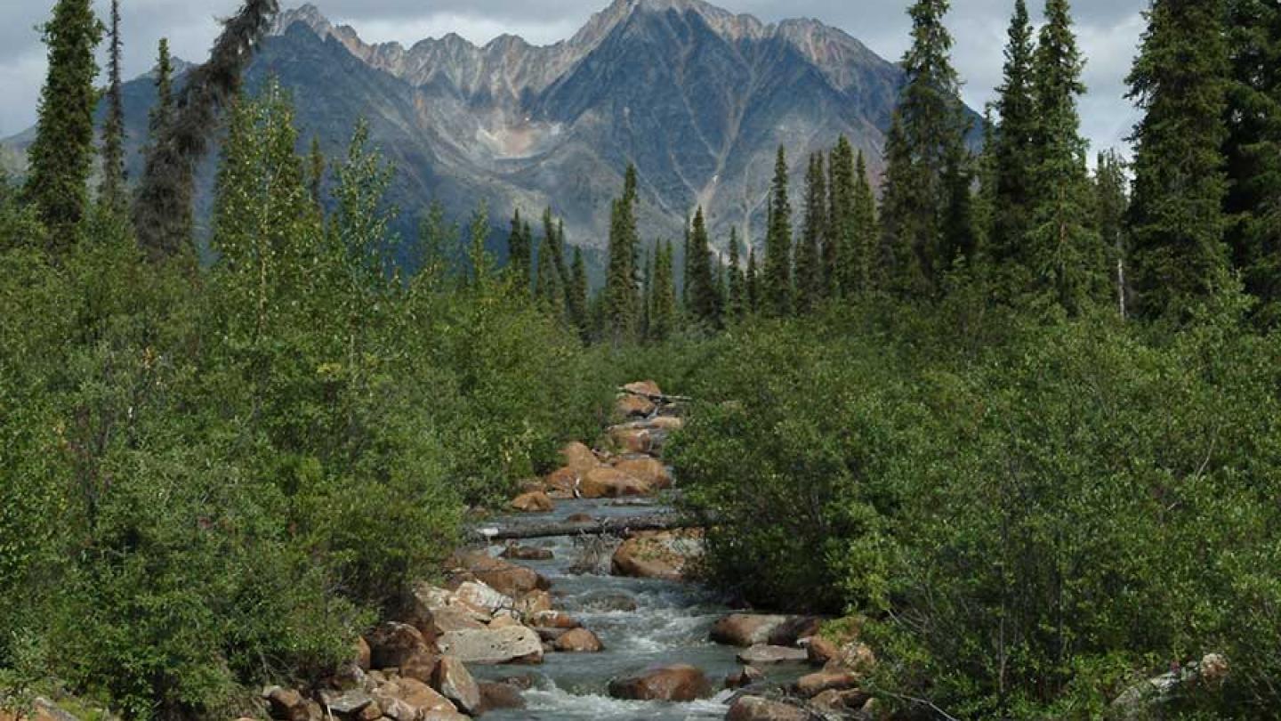 Nahanni Range Campground | Travel Yukon - Yukon, Canada | Official ...