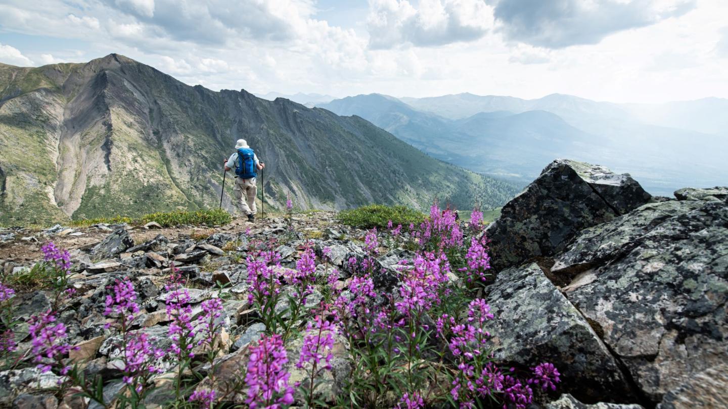 Ruby Range Adventure | Travel Yukon - Yukon, Canada | Official Tourism ...