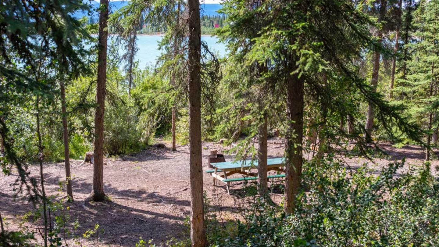 Camping Marsh Lake | Tourisme Yukon - Yukon, Canada | Site touristique ...