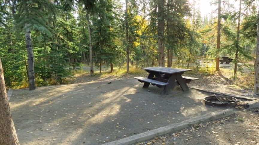 Robert Service Campground | Travel Yukon - Yukon, Canada | Official ...